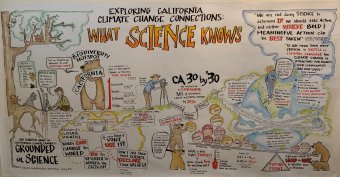 Graphical Illustrations – Exploring Climate Change Connections - OEHHA